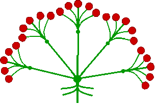 cropped-LOGO-1.gif – Inflorescence